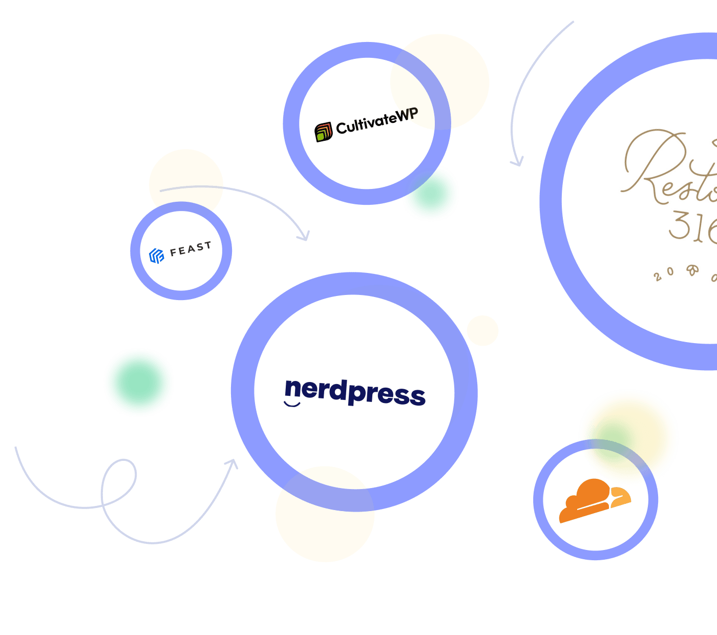 Case Study Archive - BigScoots