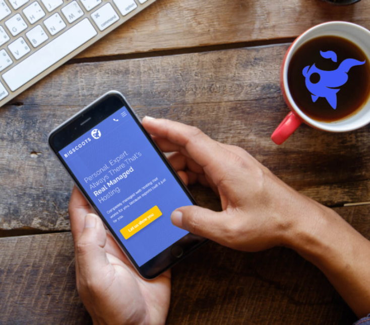 Managed WordPress Hosting with BigScoots