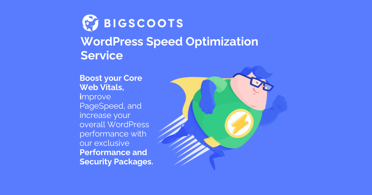 Performance Services - BigScoots